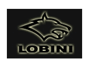 Lobini - модели и технические характеристики, история марки и ...