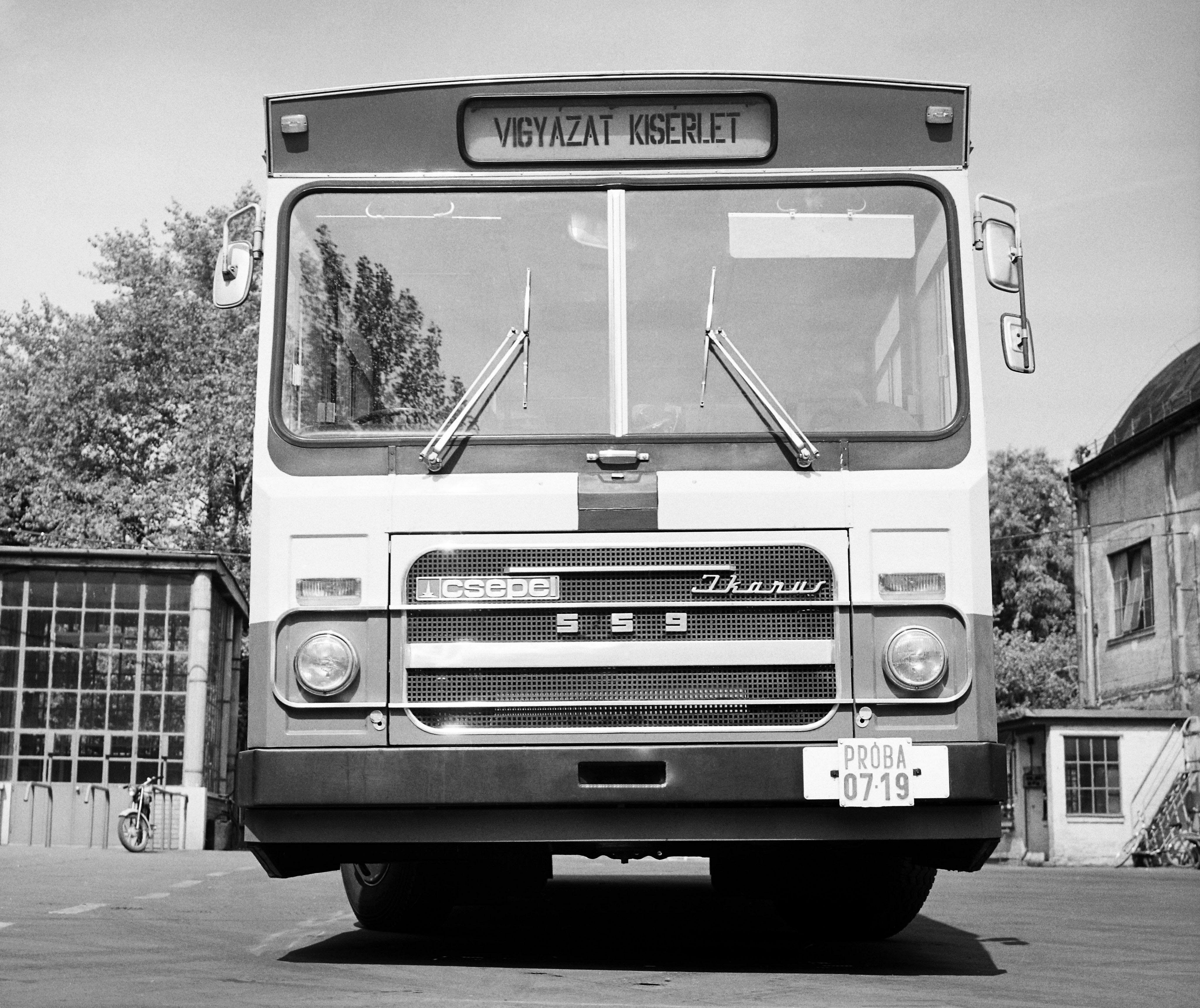 Ikarus 559 1976 года выпуска. Фото 1. VERcity