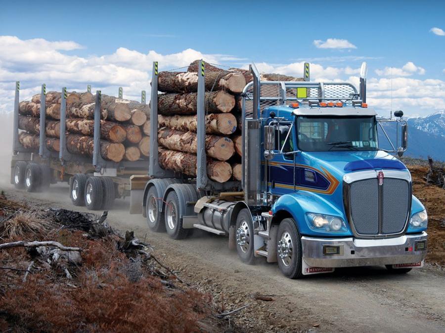 Kenworth T409 8x4 Timbertruck 2011 года выпуска. Фото 1. VERcity